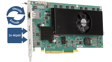 Buy Matrox Mura IPX 4K DisplayPort Capture & IP Encode/Decode in the UAE